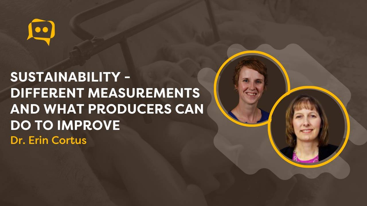 Sustainability - different measurements