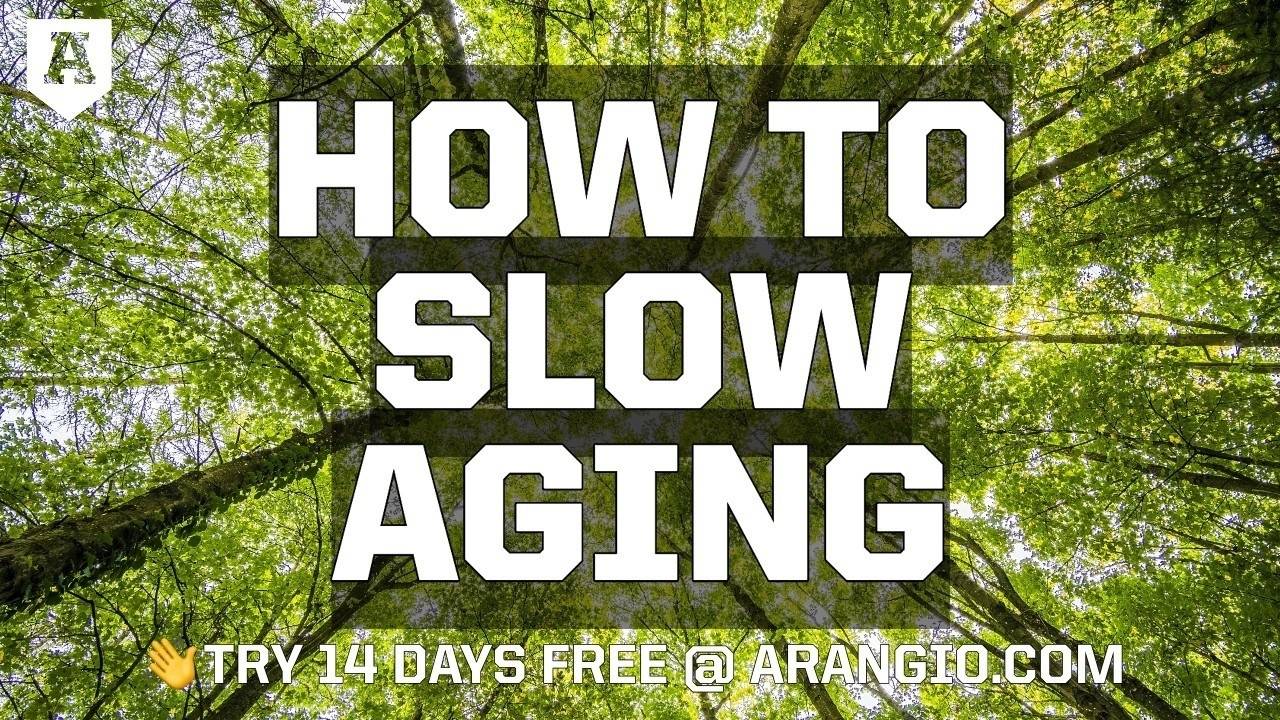 How to Slow Aging