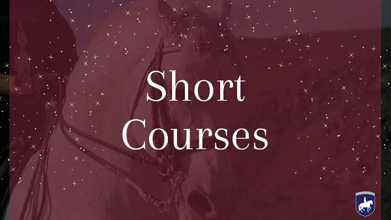 Short Courses