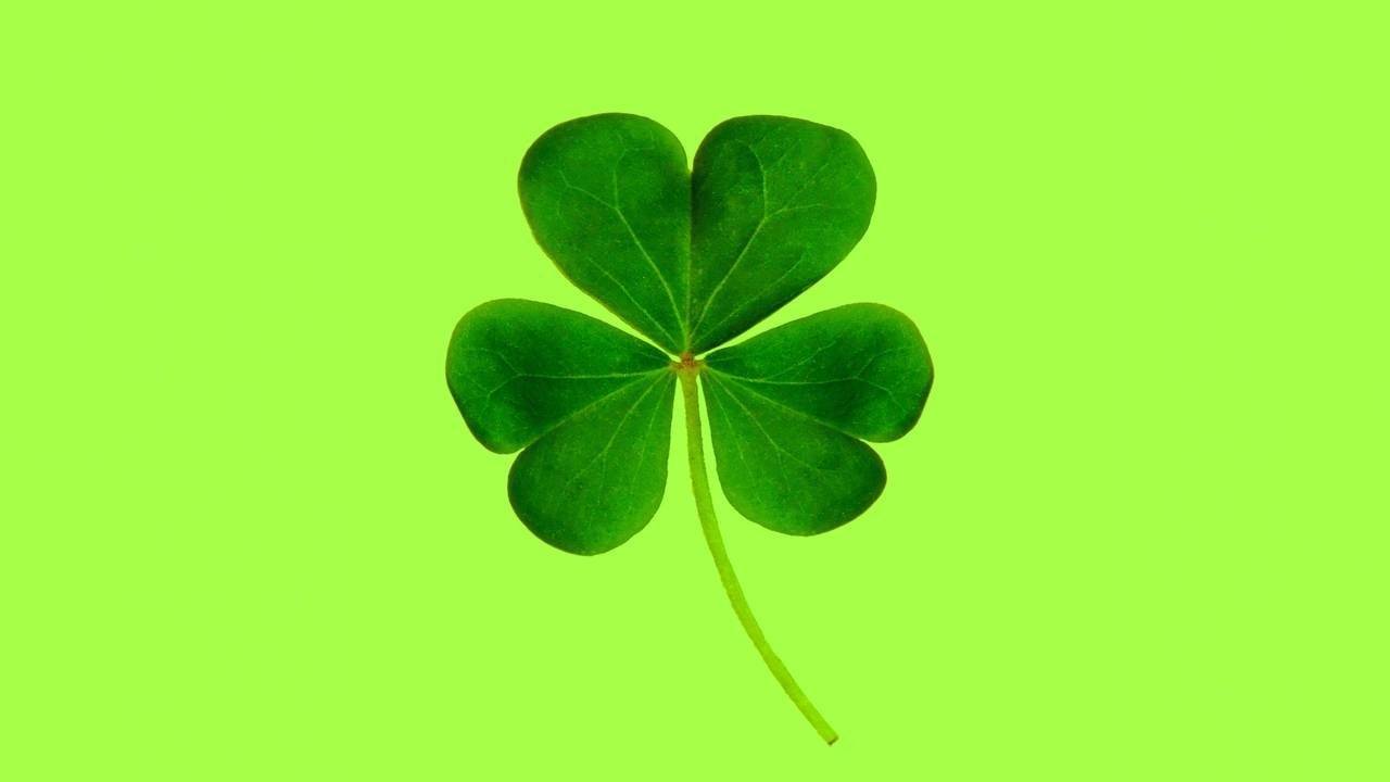 12 Strategies to Increase Your Luck