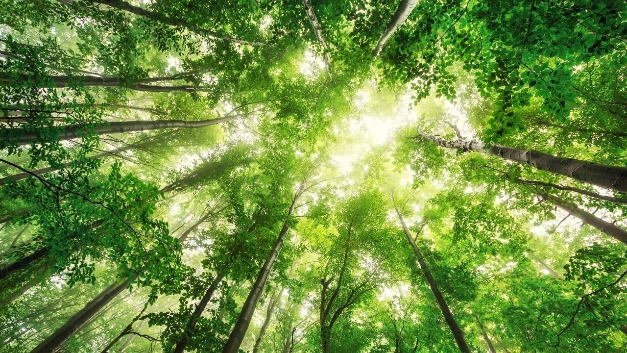 Nature & Nurture: Connecting to the Sacred in the Natural World