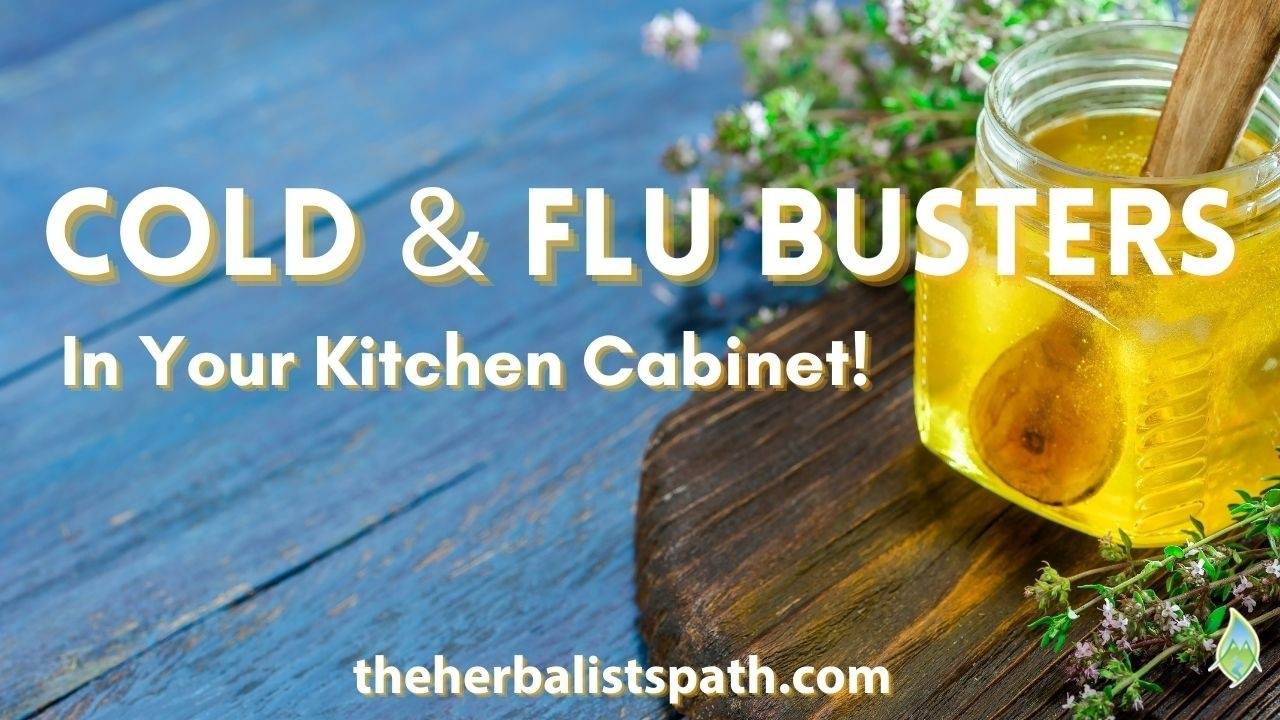 Herbal Medicines In Your Kitchen Cabinet