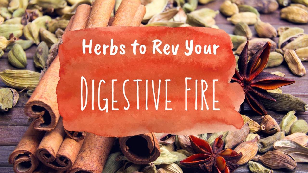 Ensure healthy and optimal digestion & gut health with warming herbs