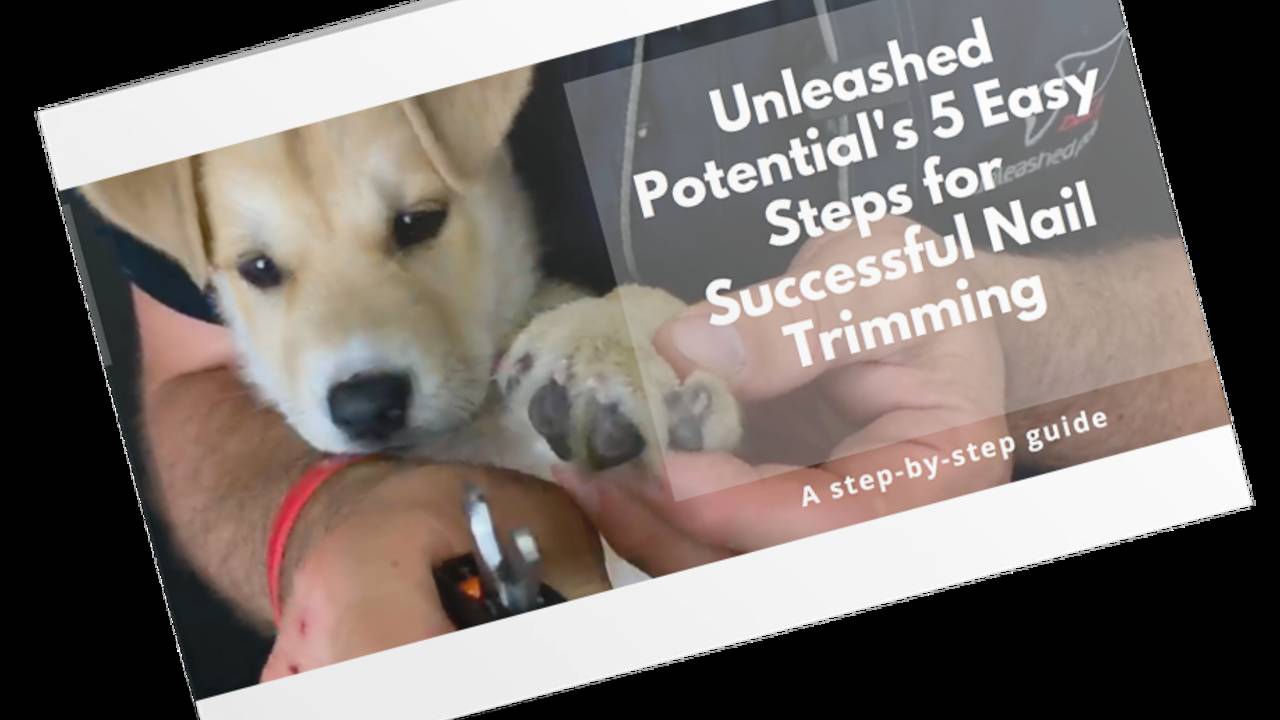 Duke Ferguson's Unleashed Potential - Nail Trimming