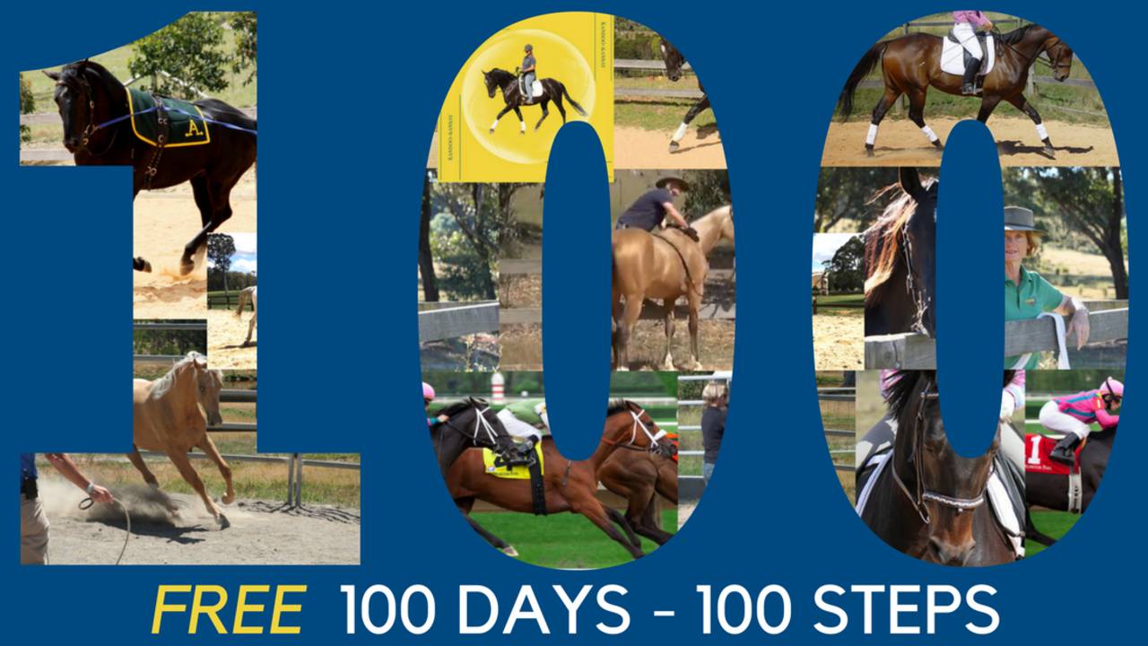 Free 100 training tips and chat