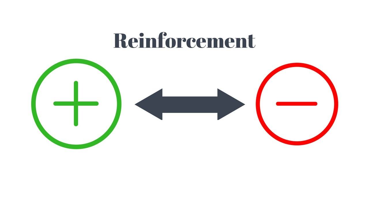 Webinar: Reinforcement