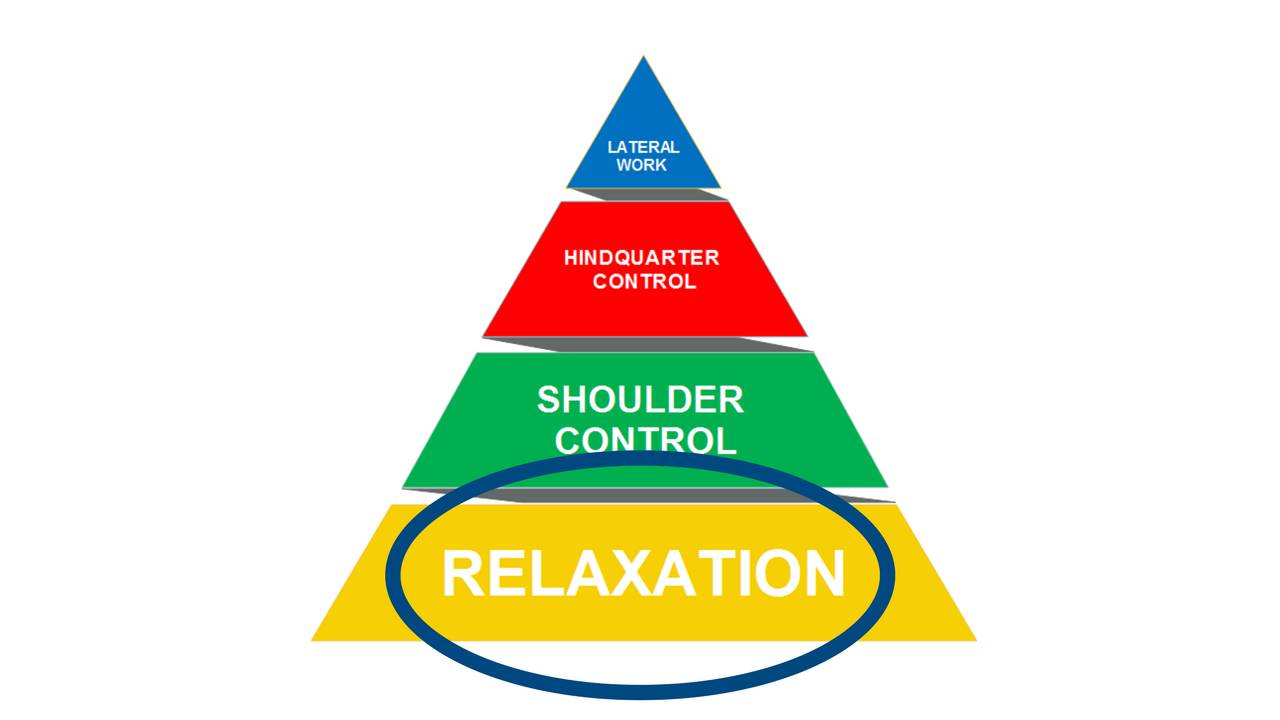 Day 58 - Relaxation on the training scalses
