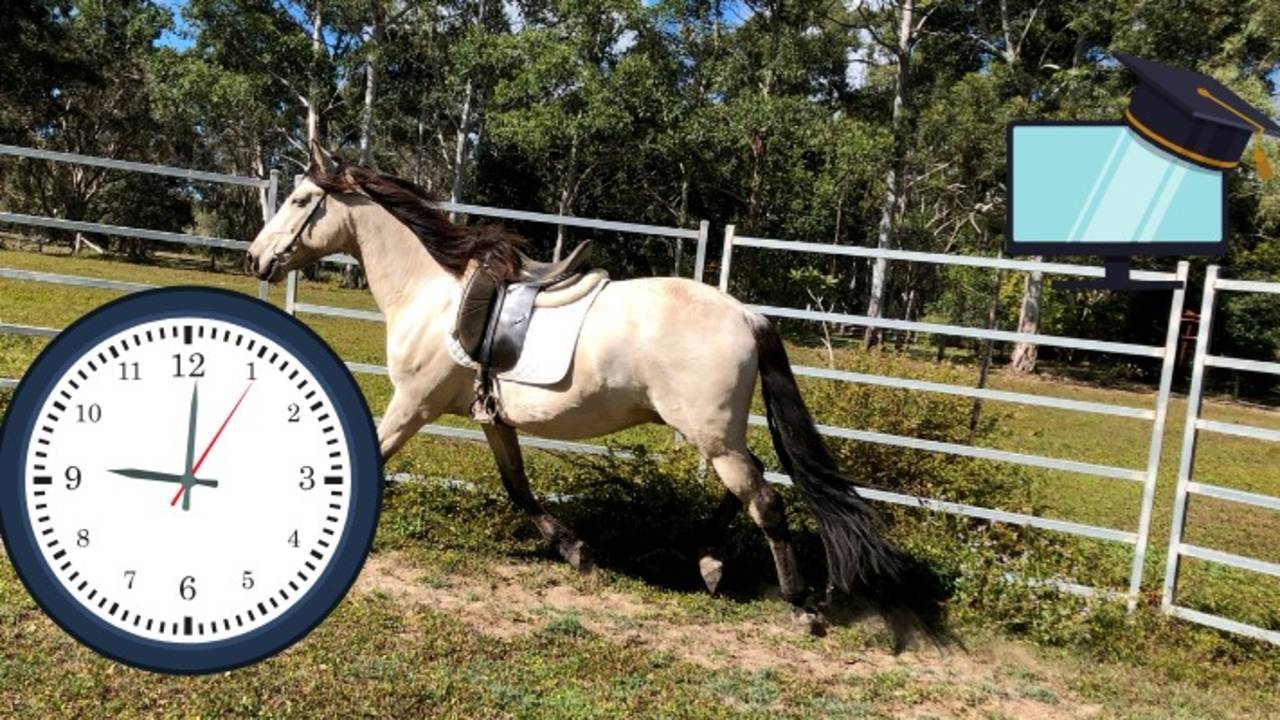 Webinar: Training Session Length