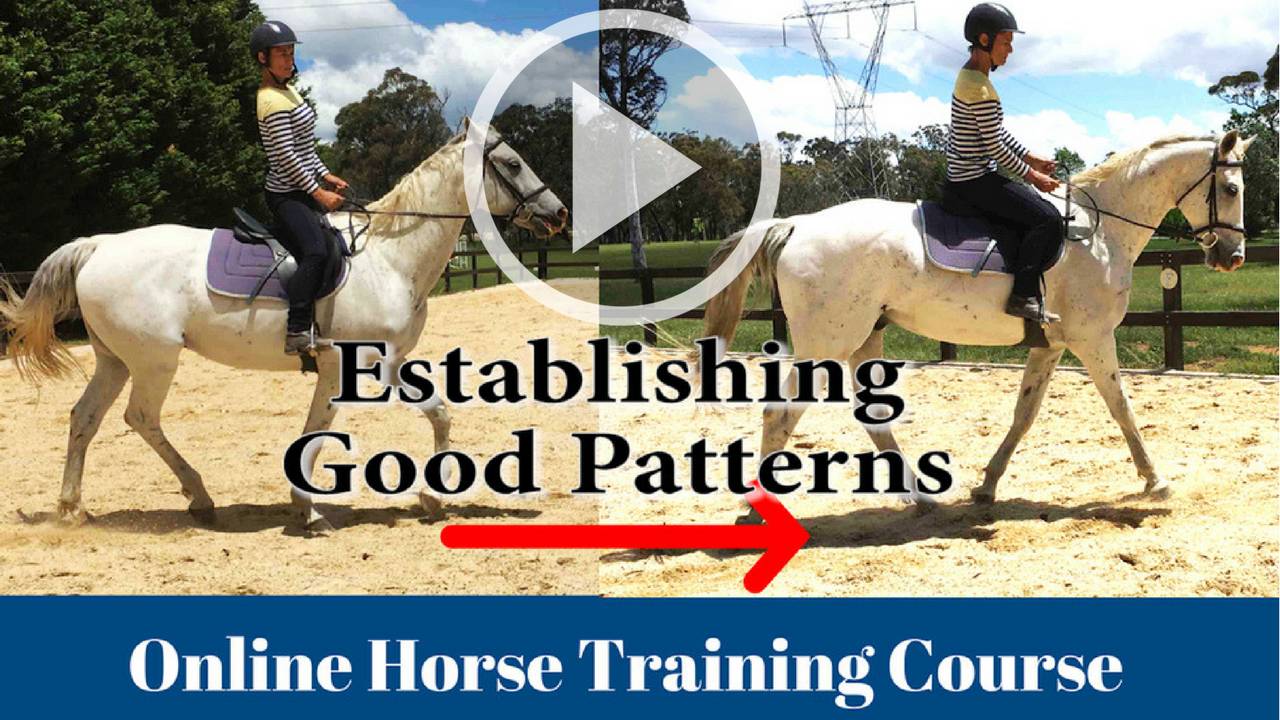 Teaching patterns for horse training
