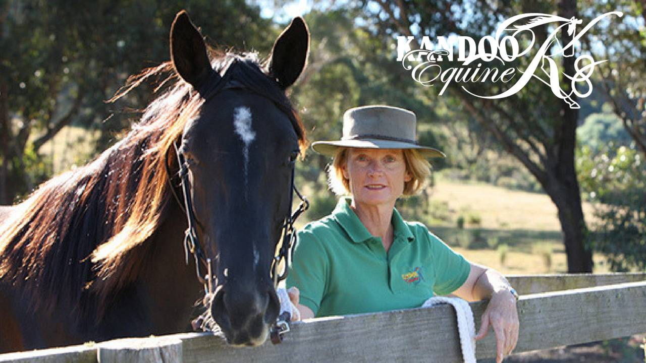 Step-by-step horse training courses