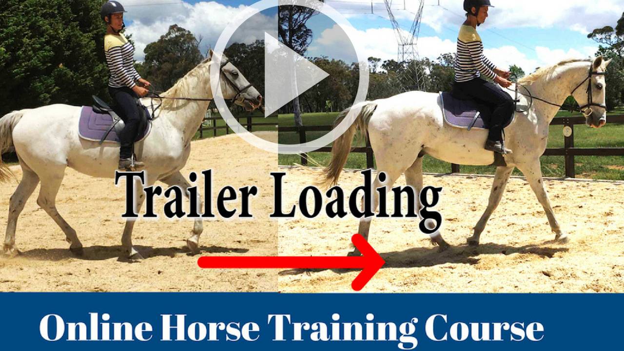 How to teach trailer loading