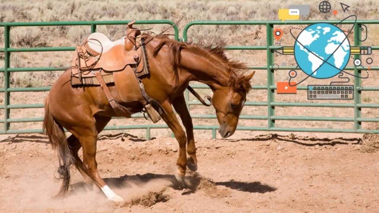 Webinar - Back from the Breakers (and bucking like a bronco)