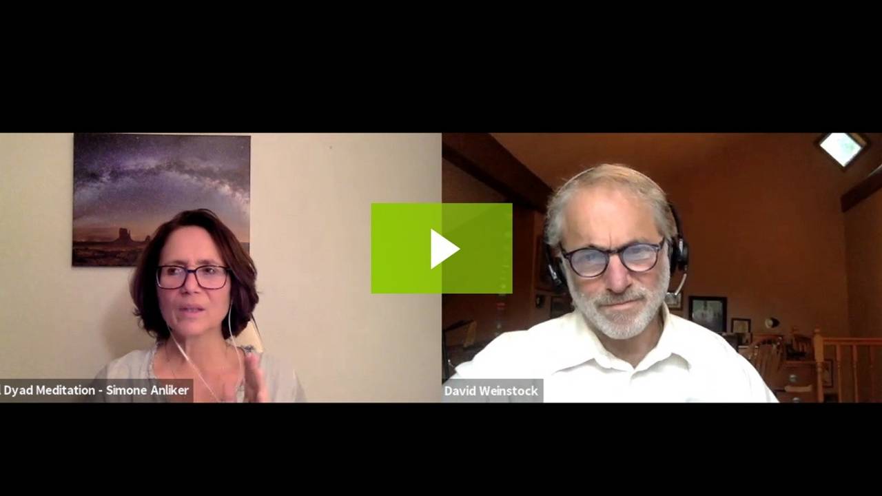 Embodying NVC: Mind-Body-Soul-Coherence with David Weinstock