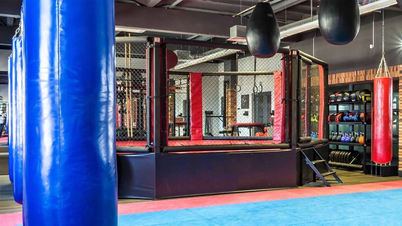 Why Small Dojos Are Better