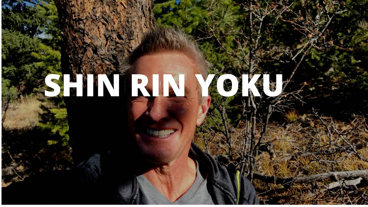Shin Rin Yoku