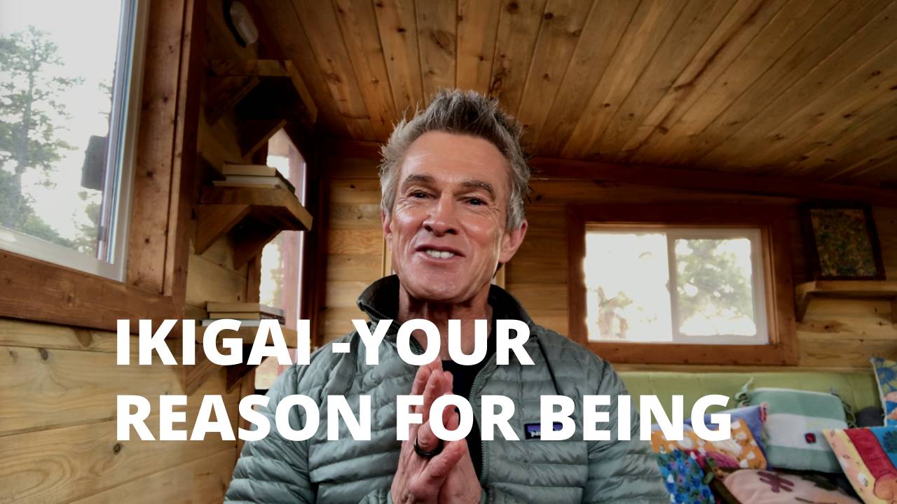 Ikigai - Your Reason for Being