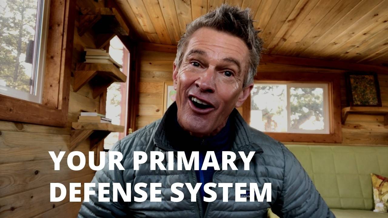 Your Primary Defense System