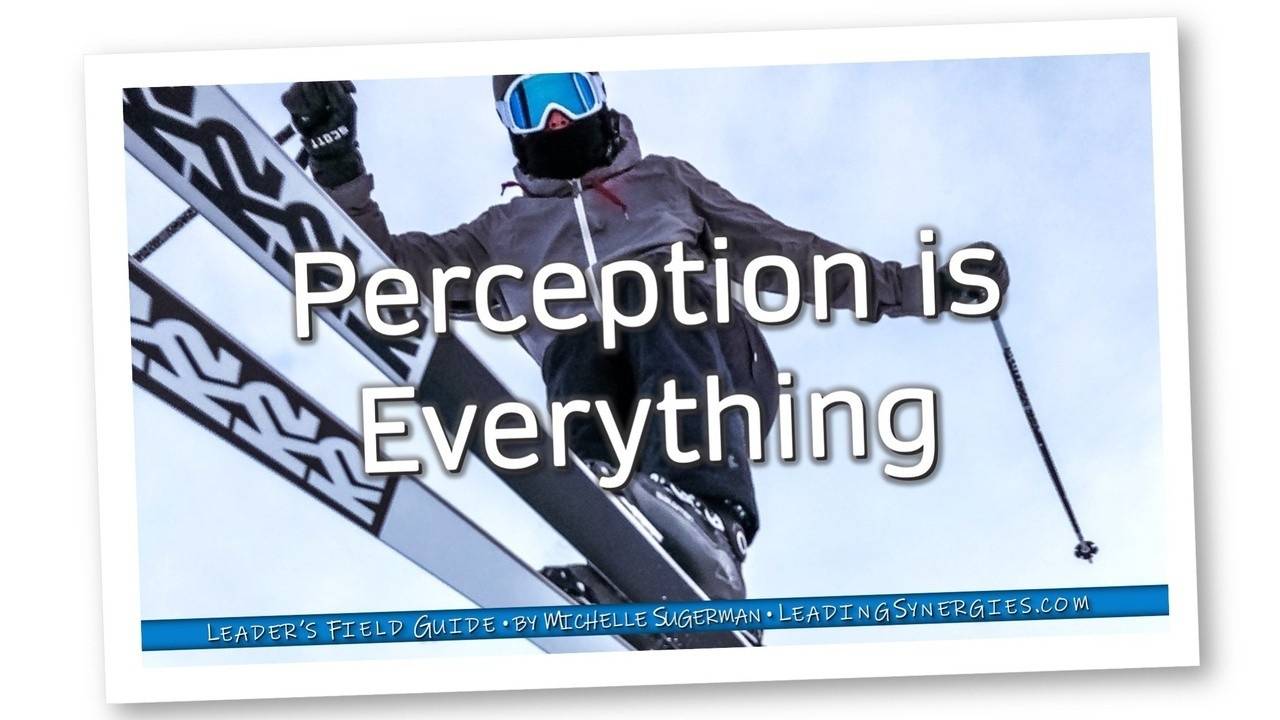 Perception is Everything