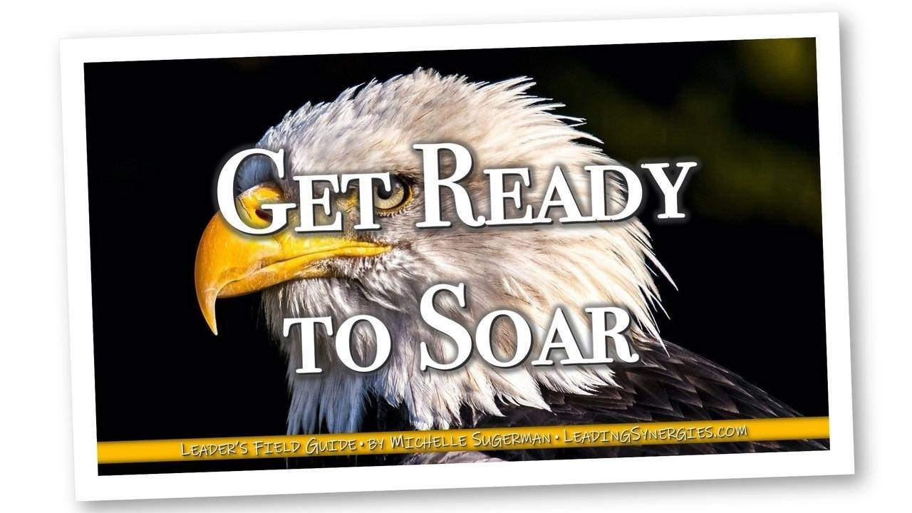 Get Ready to Soar