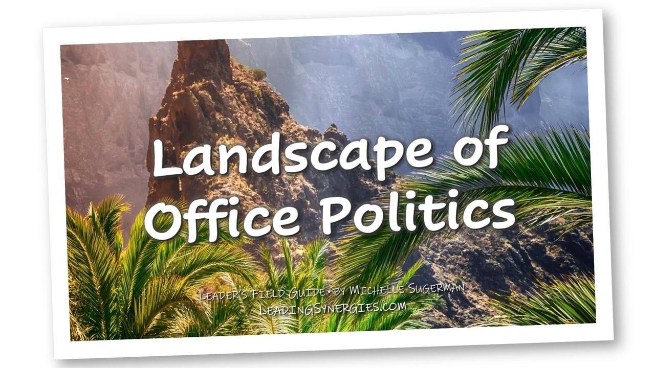 Landscape of Office Politics