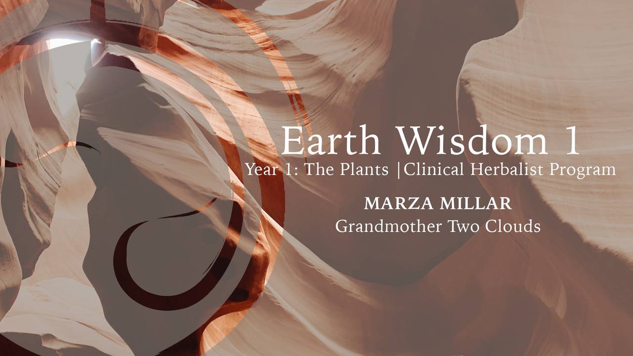 Earth Wisdom 1
