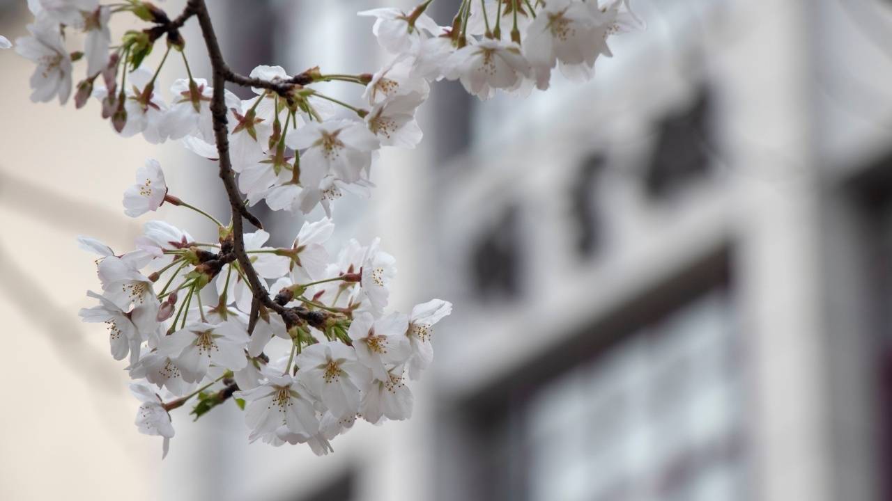 A Guide to Seasonal Living Through Ayurveda This Spring