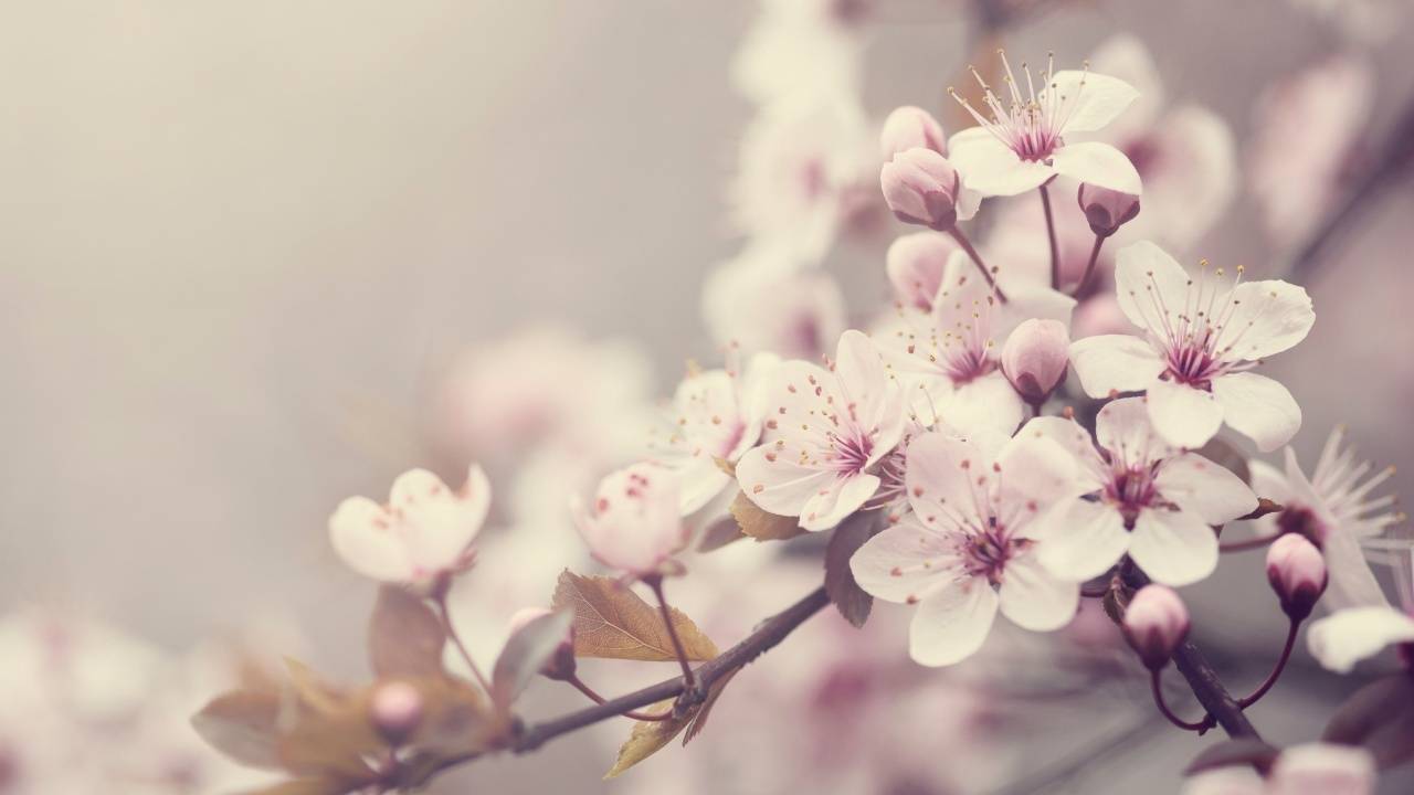 A Complete Spring Design Guide for Your Home, Lifestyle & Kitchen