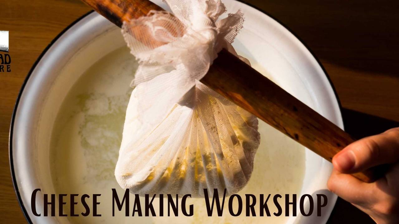 Skillshare Intensive Homestead Cheese Making