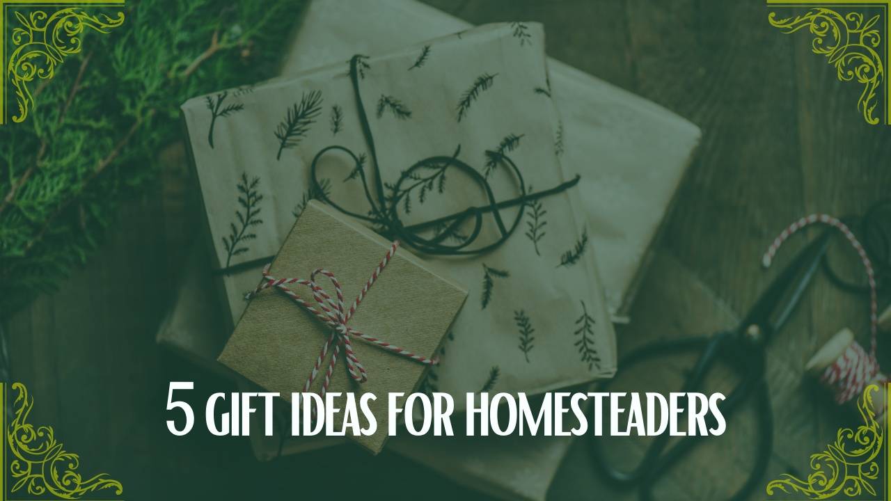 5 gift ideas for homesteaders