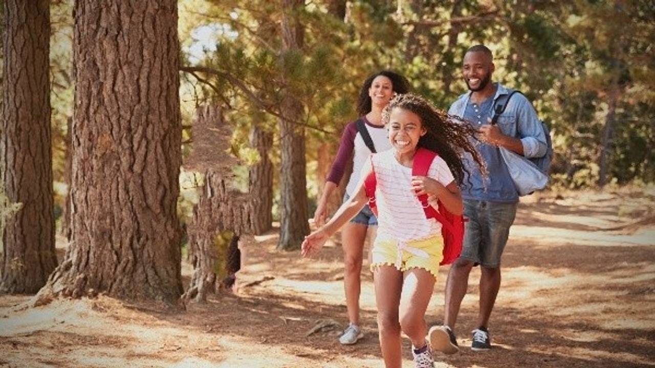 Kidshape Wellness Program for Families