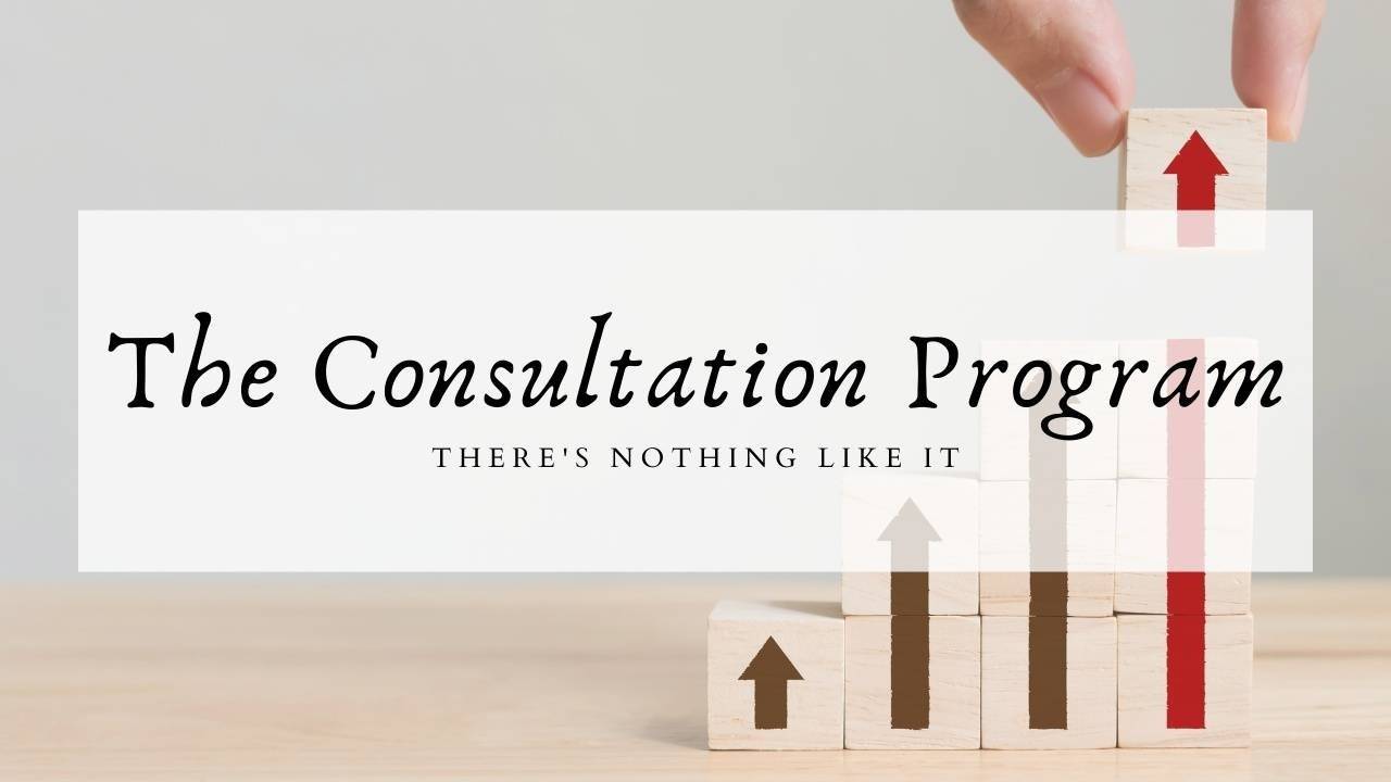 The Consultation Program