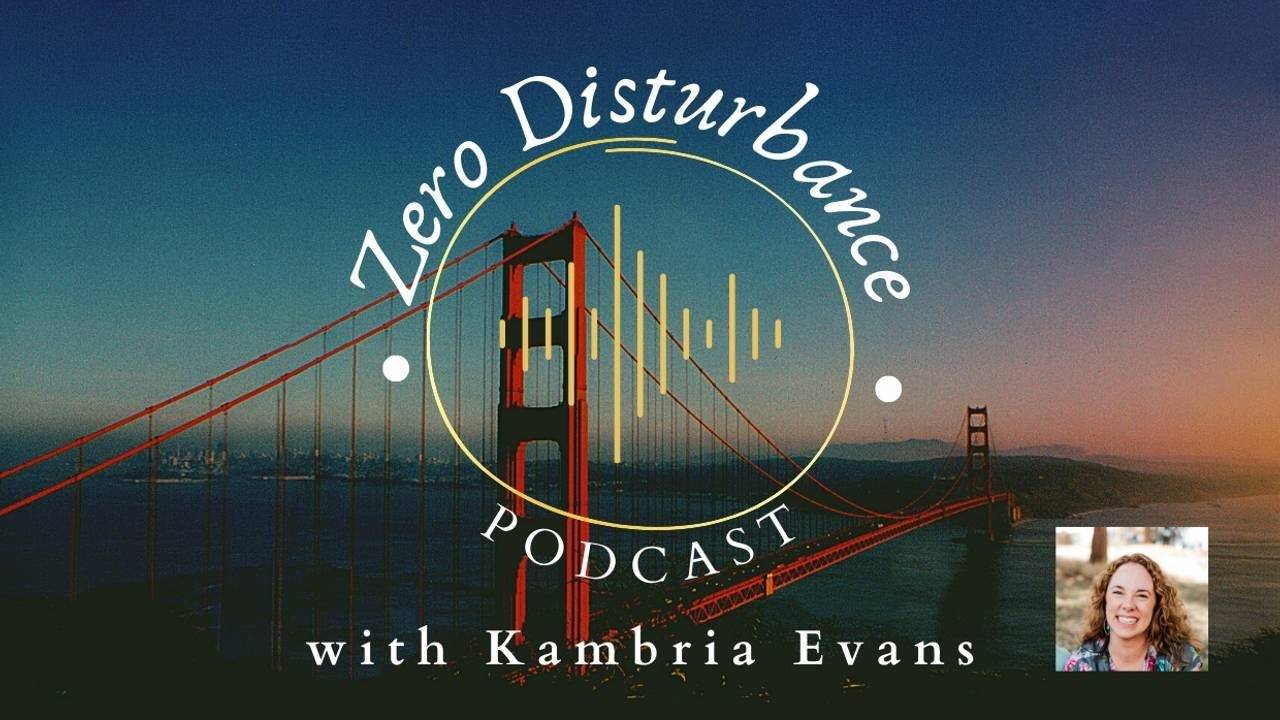 Zero Disturbance Blog