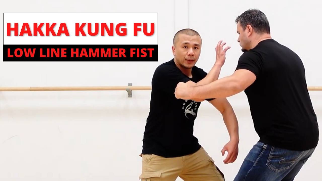Adam Chan Kung Fu Report - Hakka Low Line Hammer Fist