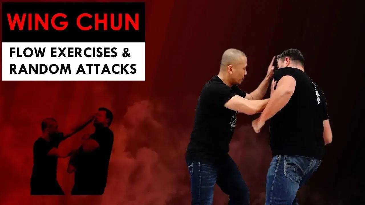 Adam Chan Kung Fu Report - Wing Chun Flow Exercise With Random Attacks
