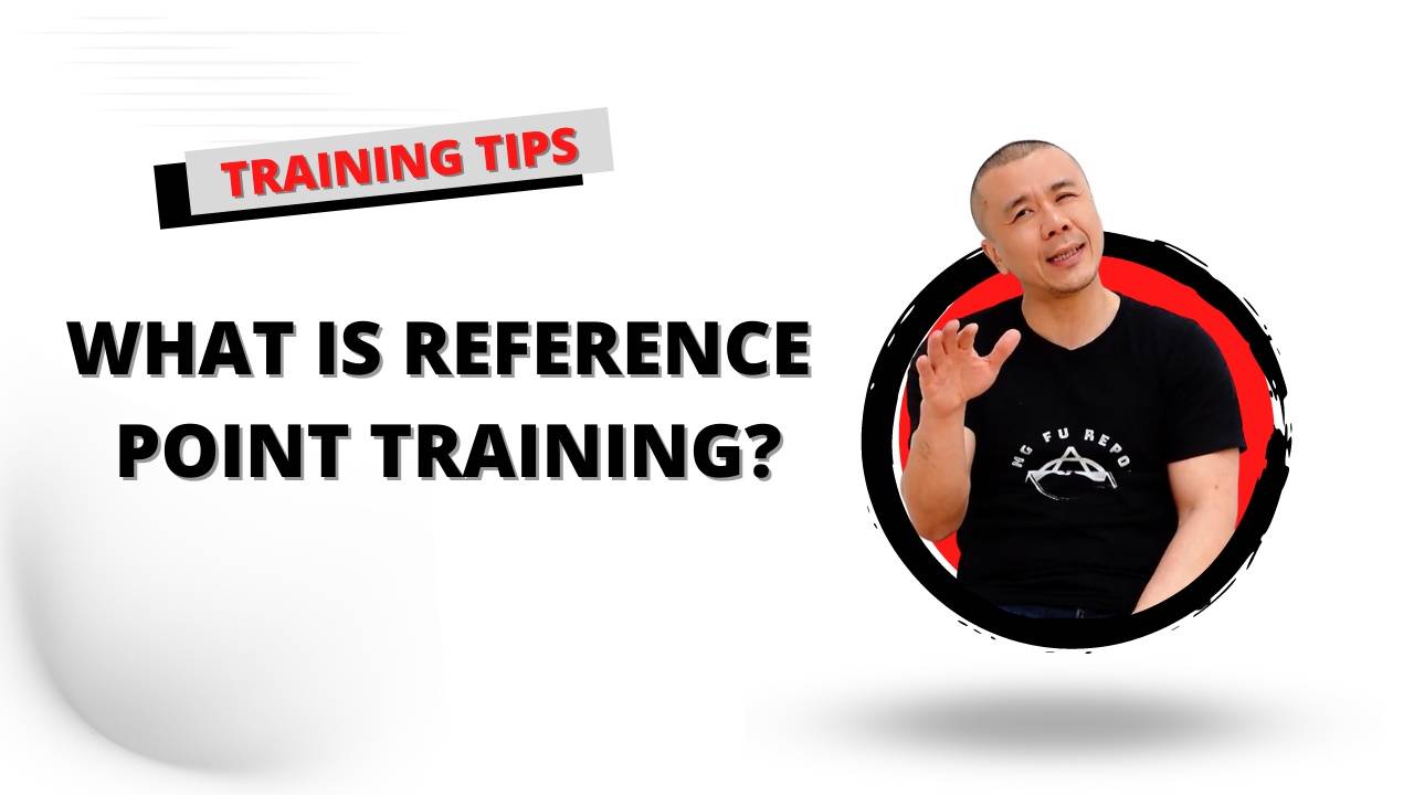 Adam Chan Kung Fu Report - Training Tips: reference point techniques