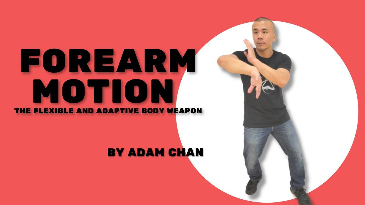 Adam Chan week article - Forearm Motion