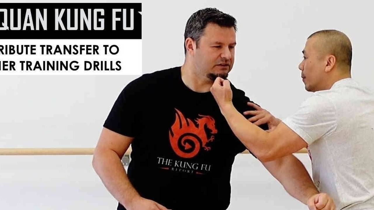 Adam Chan Kung Fu Report - Yi Quan Transfer to Sticking Applications