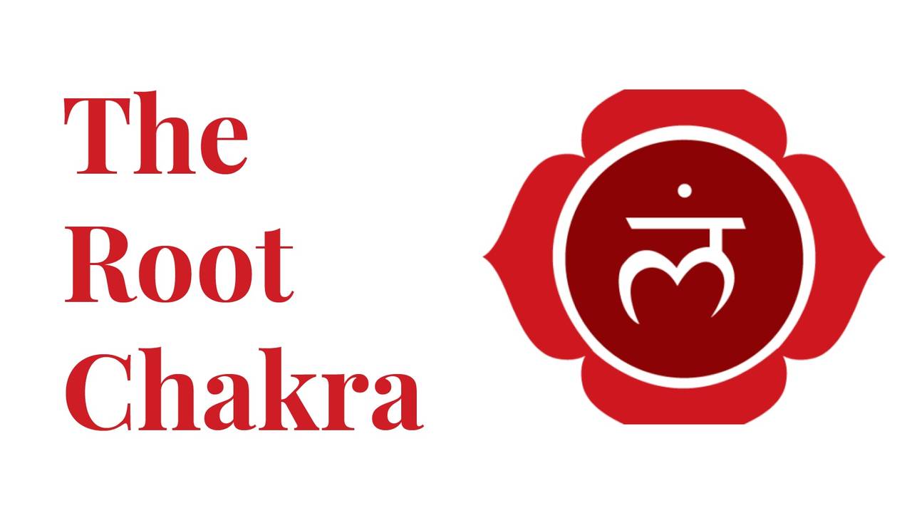 What is the Root Chakra?