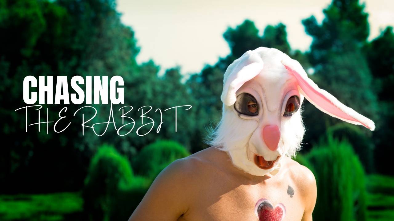 Chasing The Rabbit