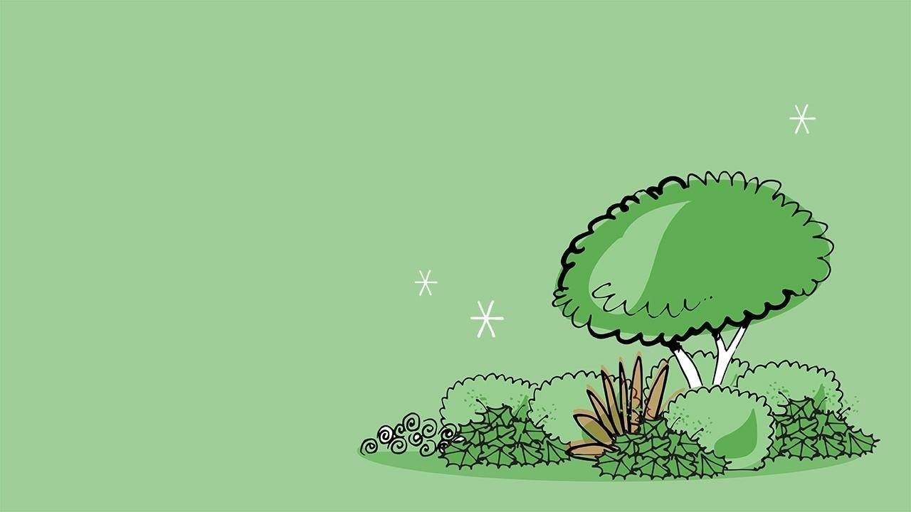 Planting Design Tips