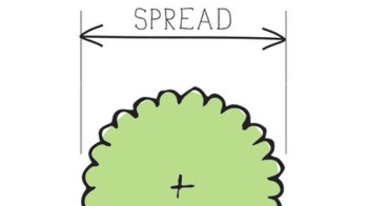 On-Center vs. Spread