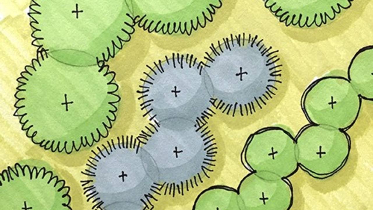 Rendering Plant Symbols in Marker