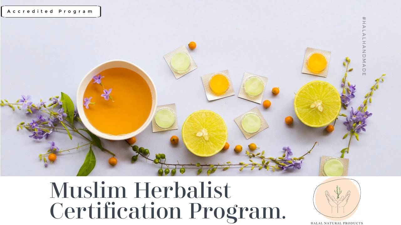 Learn While You Earn