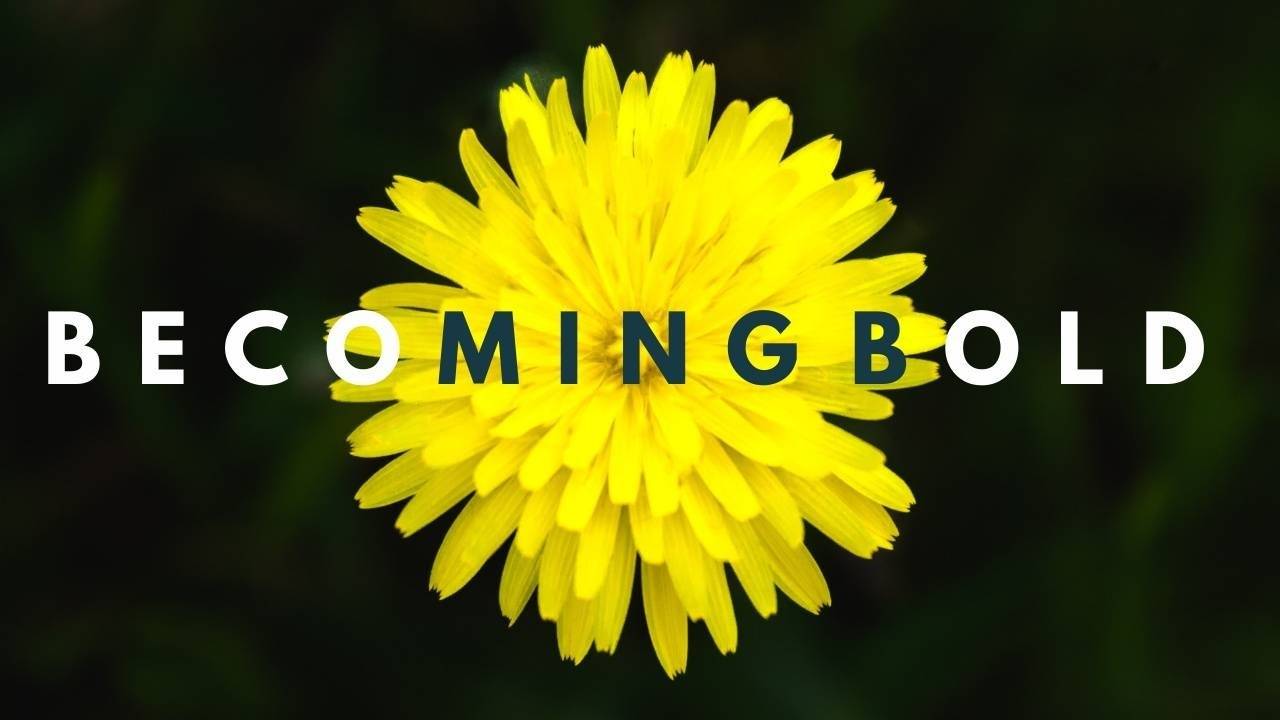 Join us for Becoming Bold