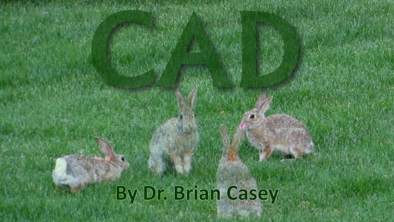 CAD (Context Attention Disorder)