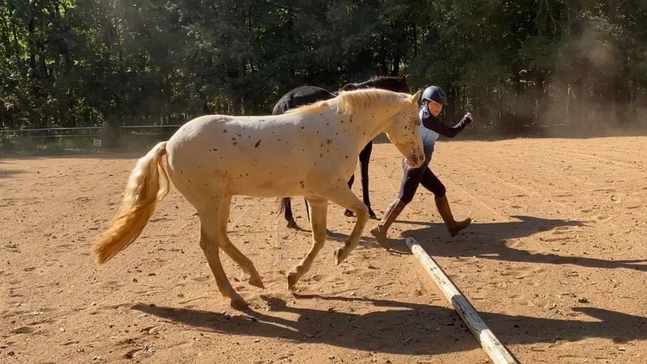 Improve Your Riding with This Powerful Practice