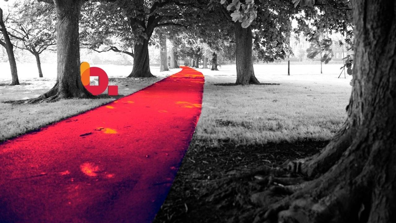 TEDx: Invitation to the Quest by Andy Murray