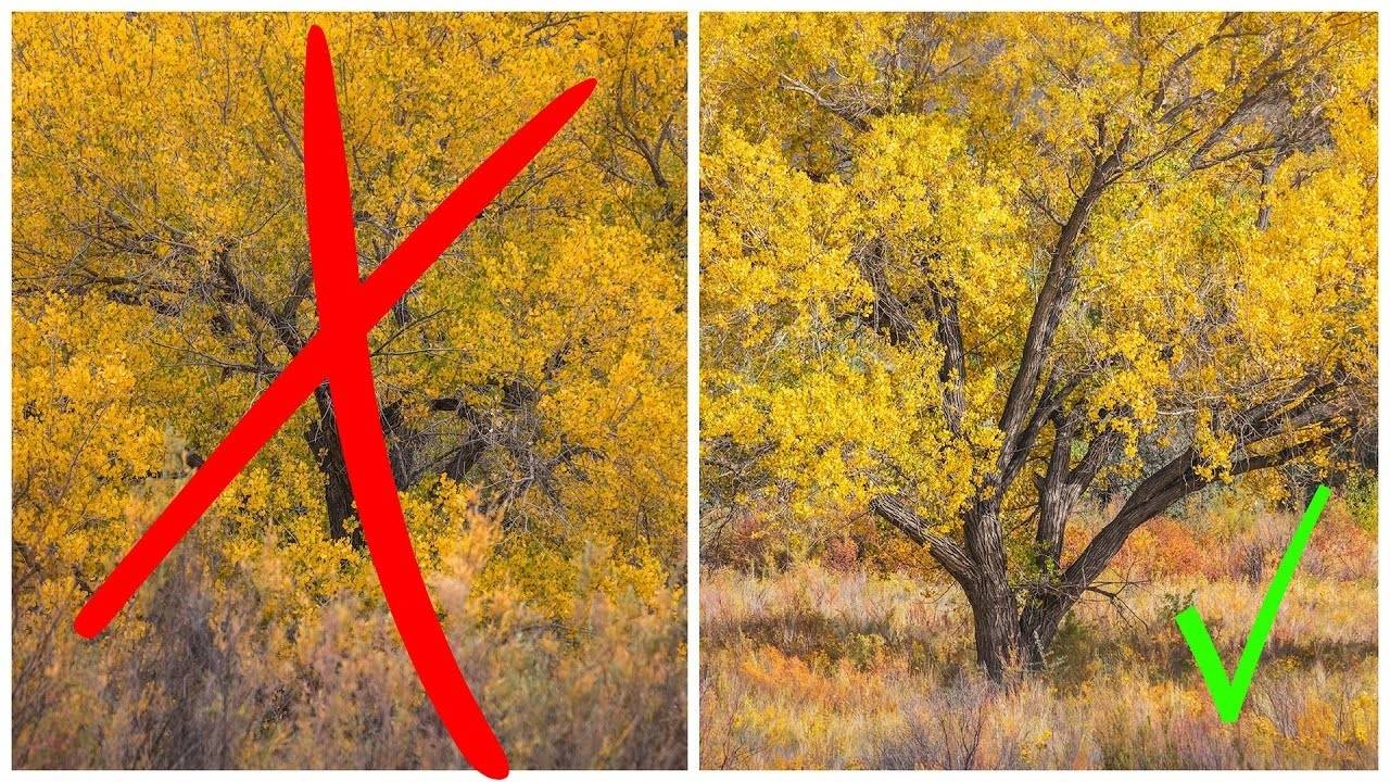 HOW I SCOUT For the RIGHT Landscape Photography COMPOSITION