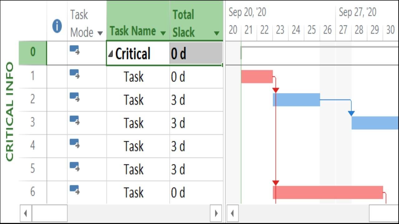 Critical Items in Microsoft Project