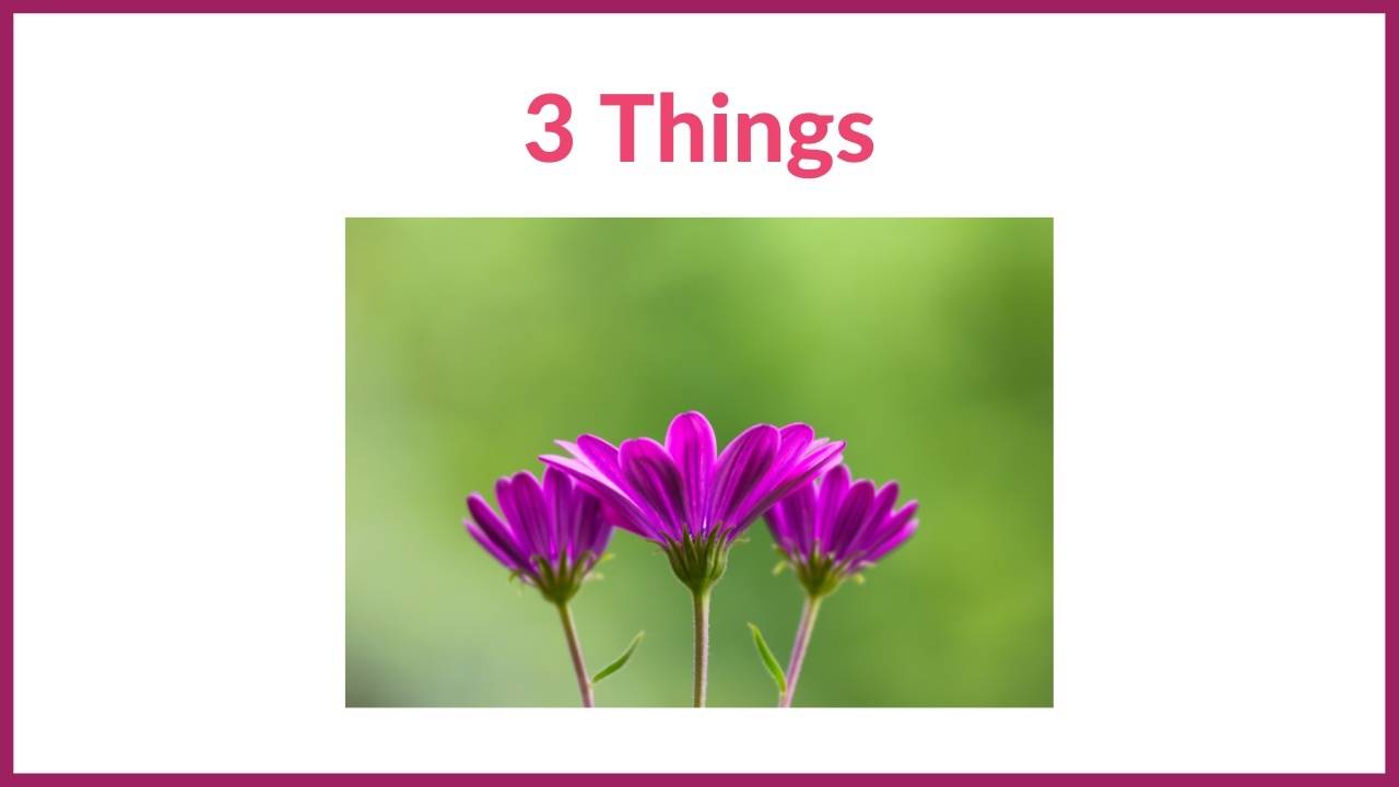 3 Things